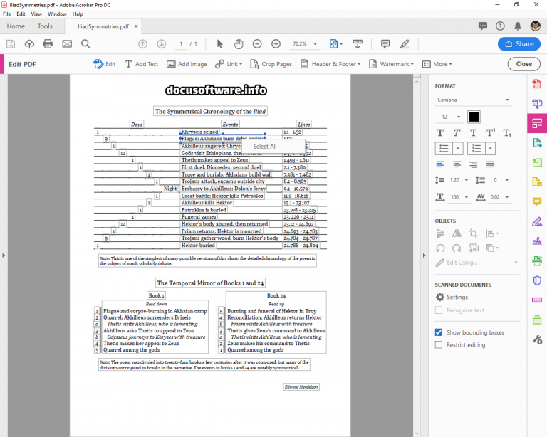 Adobe Acrobat Pro 2024 vs 2025: Complete Comparison