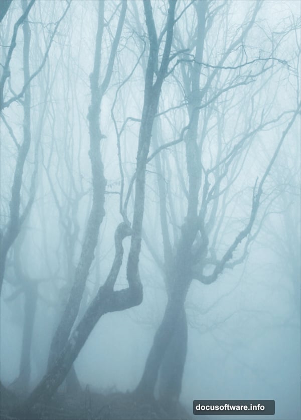 Photoshop Photo Manipulation: Dreamy Forest Portrait